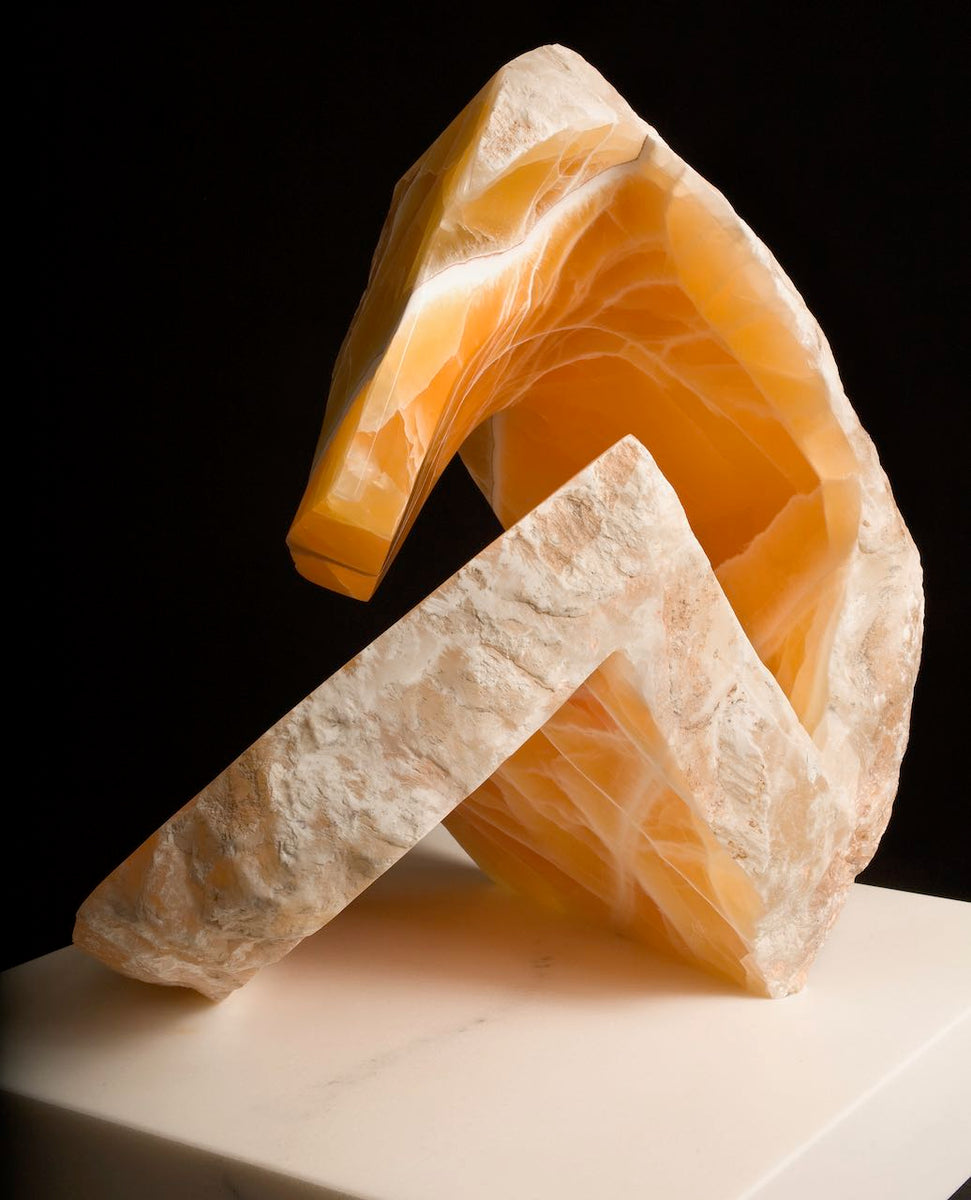 THE THINKER - Robin Antar